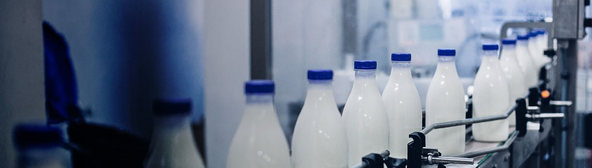 Dairy commodities services: risk management & trading| StoneX