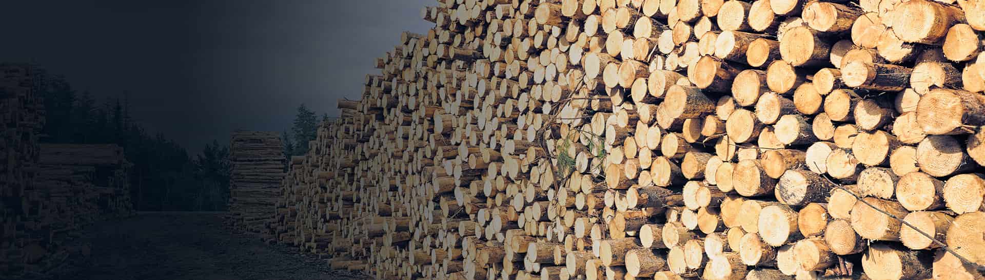 Managing lumber price risk through futures, options and OTC | StoneX