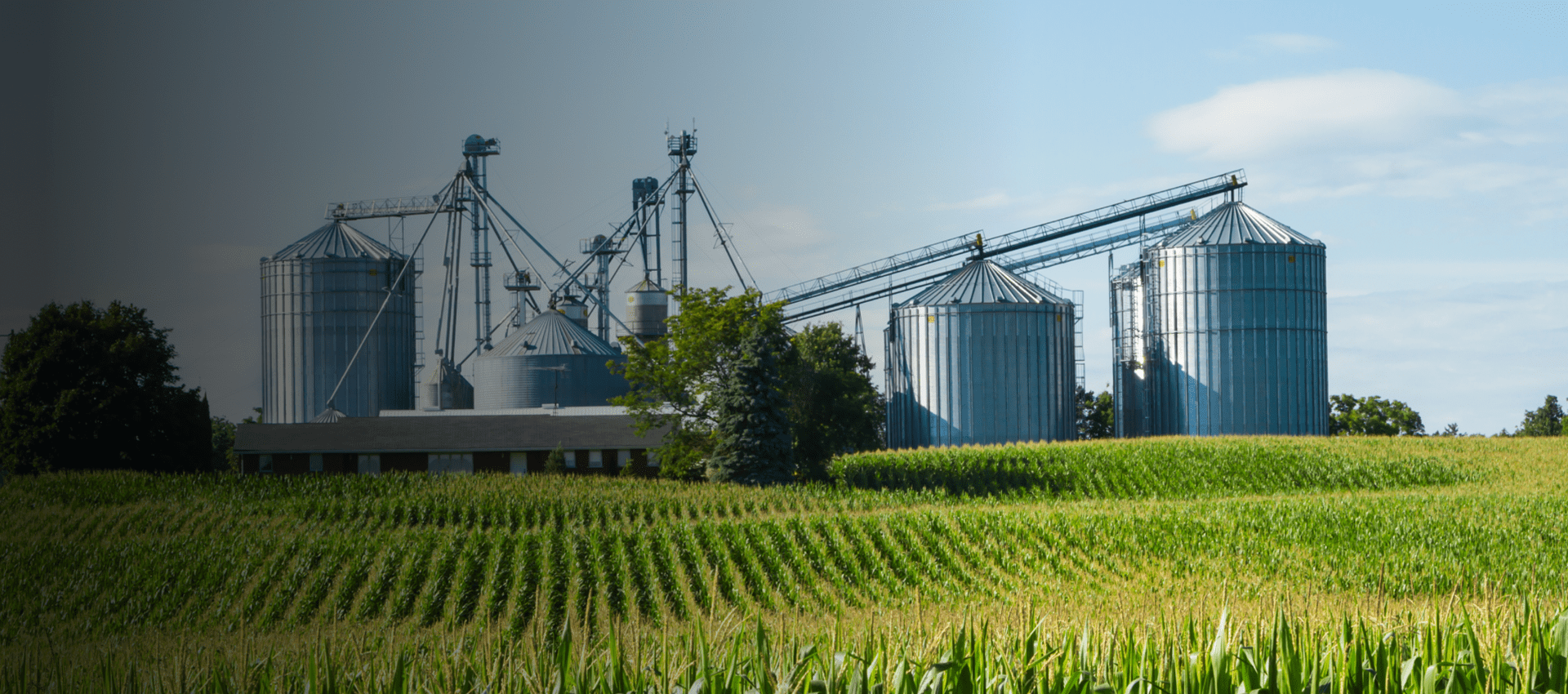 StoneX® Hedge – automated offer management, merchandising and ...