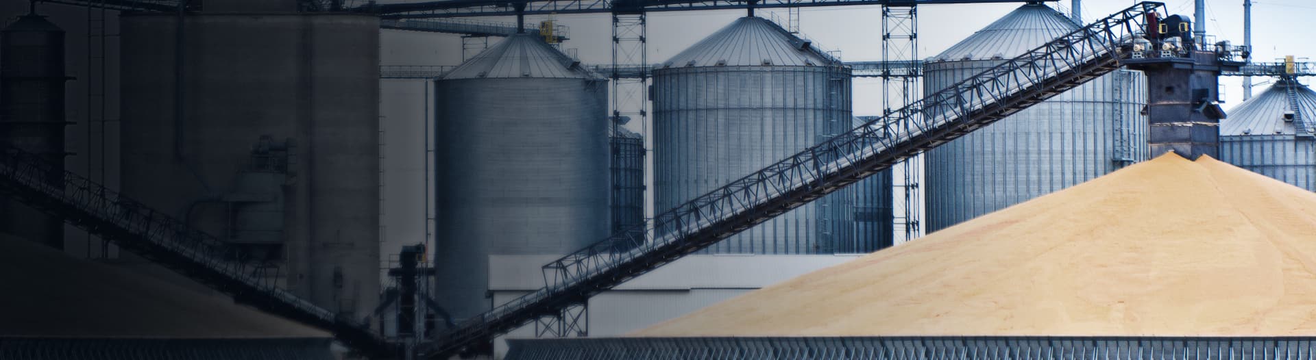 Programa Integrado de Administración de Riesgos (IRMP®)| StoneX